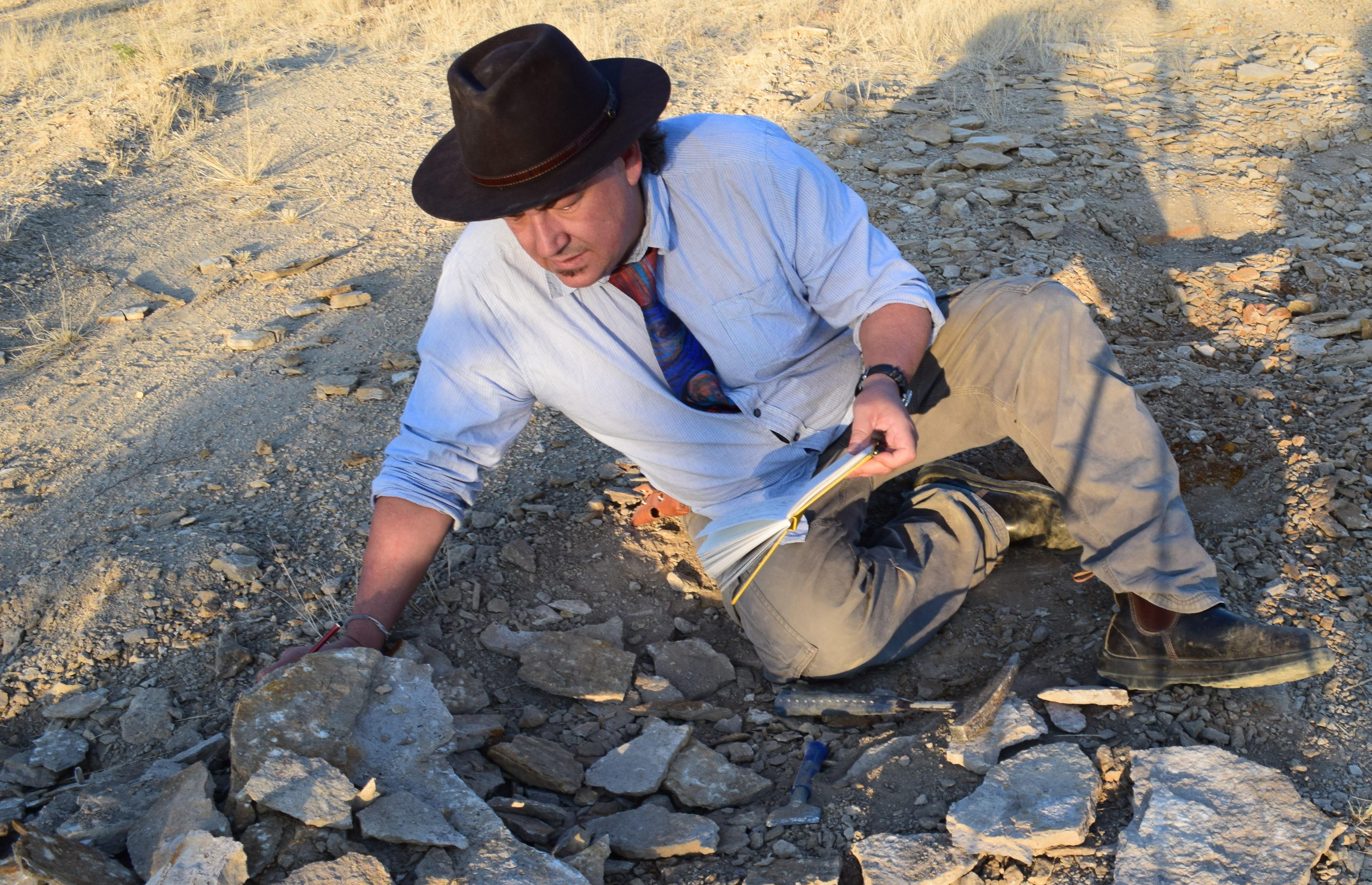 The hunt for Australian pterosaurs - Dinosaur Lab - University of ...